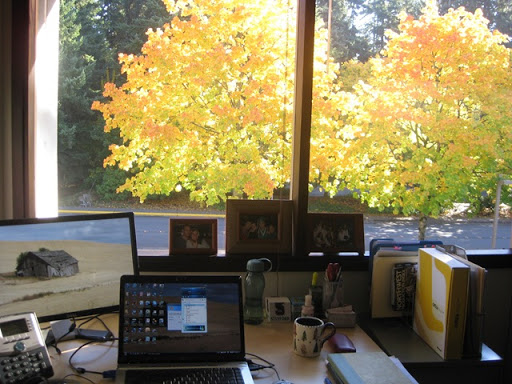 Northwest Ladybug: The View From My Office Window - Fall Edition